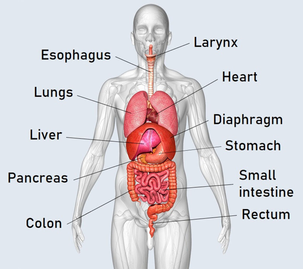 Internal Medicine – Solar Hospital